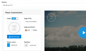 Online TV Broadcasting Software - Viloud